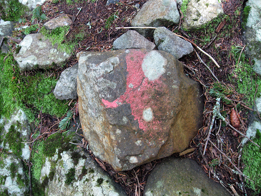Hiking in the White Mountains: The Abandoned Adams Slide Trail