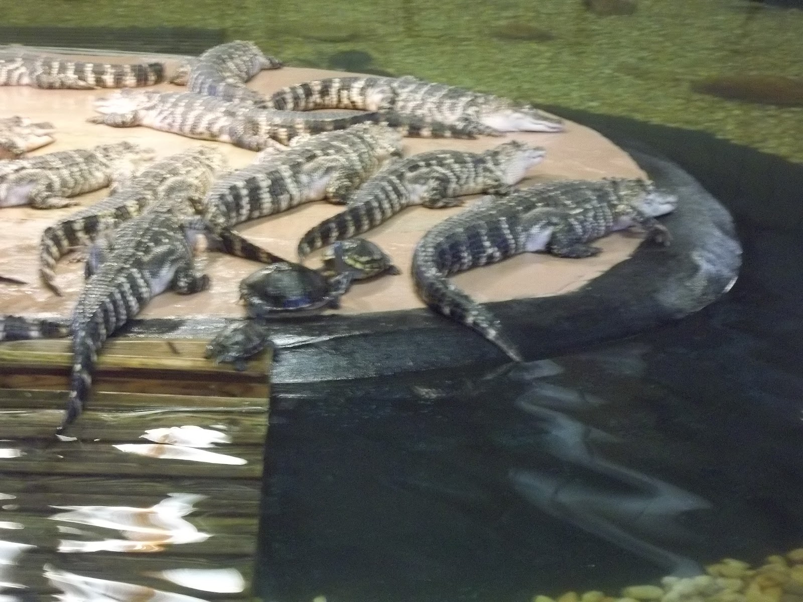 95 Things to do on 95