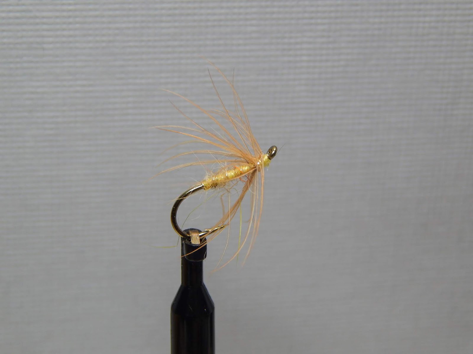 Small Stream Reflections: The Hare's Lug and....North Country Spider