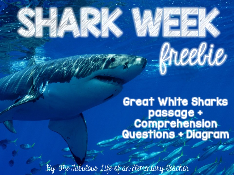 The Fabulous Life of an Elementary Teacher: Shark Week Blog Hop {with ...
