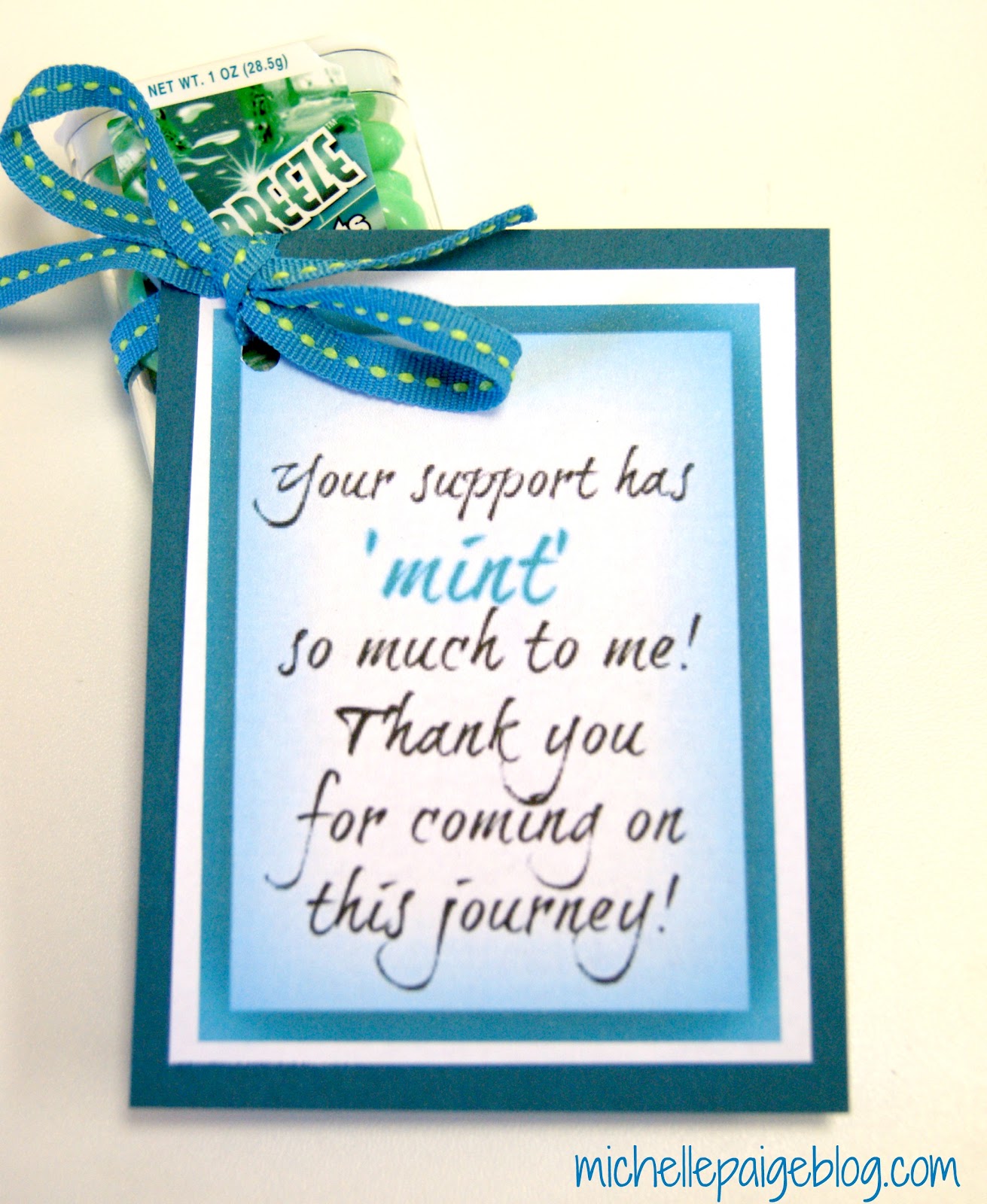 michelle paige blogs: It 'Mint' So Much Gift