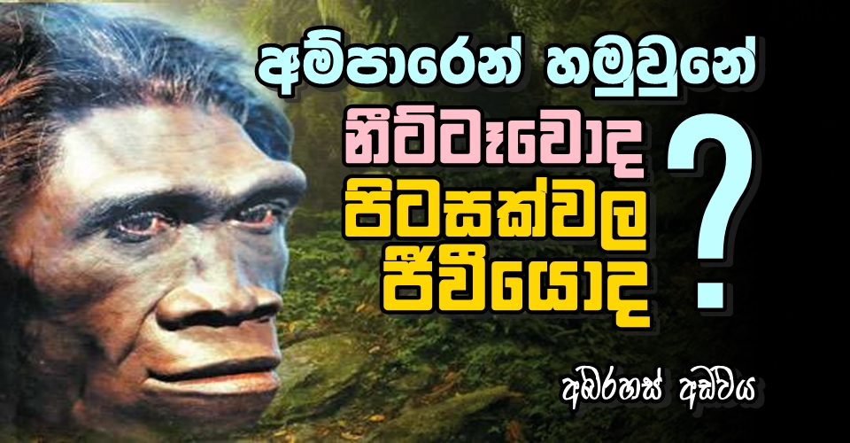 Abirahas Adawiya ....(මුල් පිටුවට පිවිසෙන්න මෙතනින් ) [HOME ...