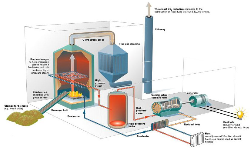Renewable energies: BIOMASS ENERGY