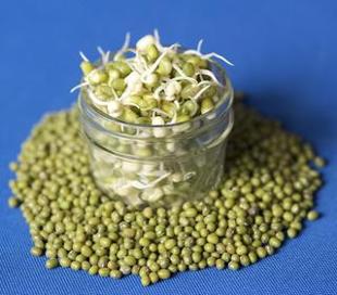 Friday is Munggo Day - Filipino Culture by The Pinoy Warrior