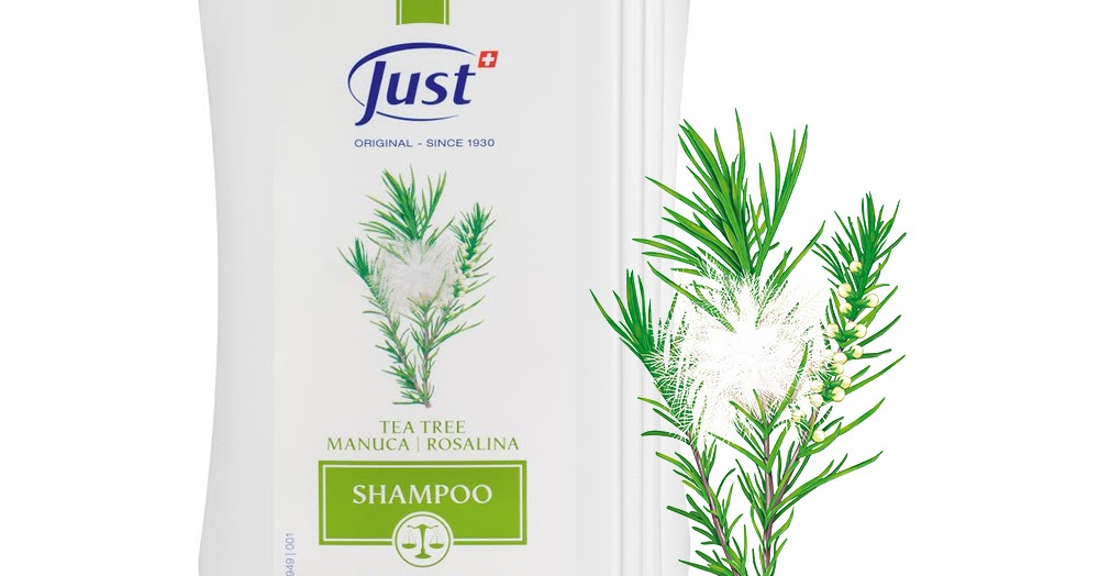 Swiss Just Monterrey, México: Elimina la caspa con el Shampoo de Tea ...