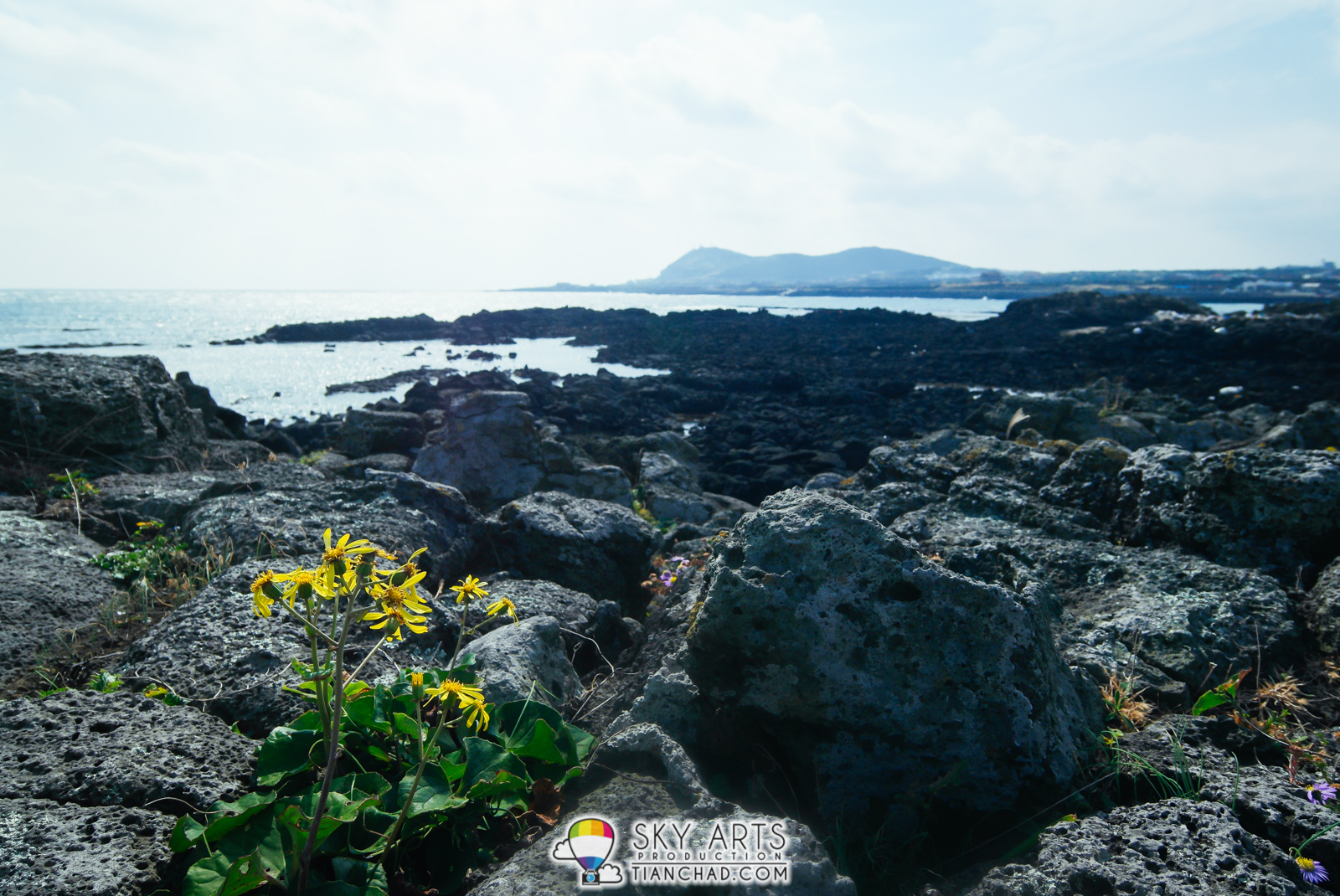 12 Things To Do In Udo Island, Jeju-do