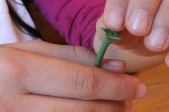 With Love & Confection: White Chocolate Pumpkins Tutorial by With Love & Confection