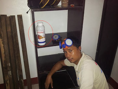 JC & Jansen Pest Control: Drywood Termite (bukbok) Control: What are ...