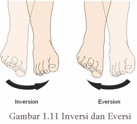 Kinesiologi ~ Suara Hatiku