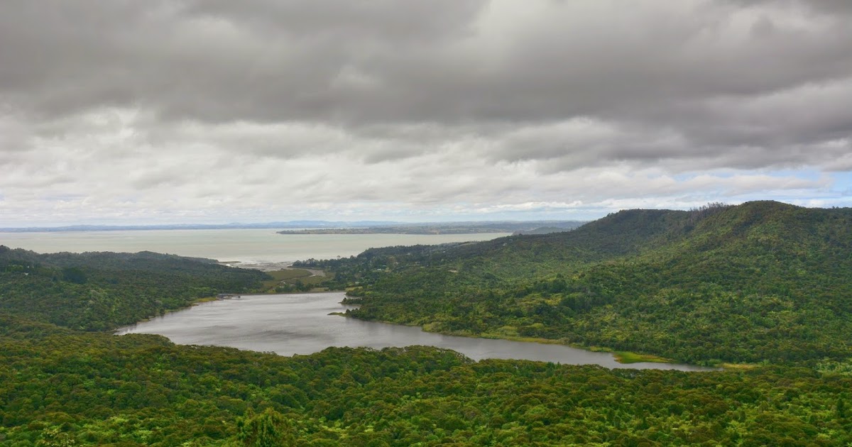PL Fallin Photography: Manukau Harbour at Waitakere Range Park, New Zealand