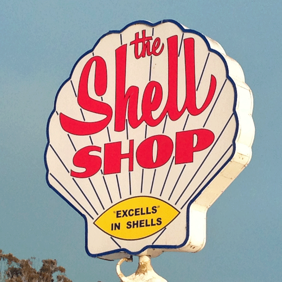 MY SHEPARD'S PIE: RANDOM PIECES