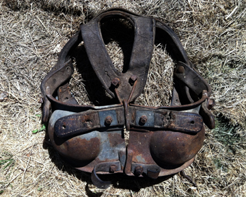 Murder of Crows Farm