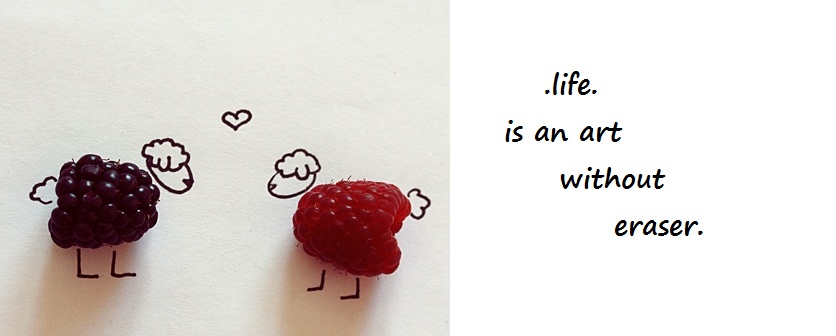 life in an art of drawing with no eraser