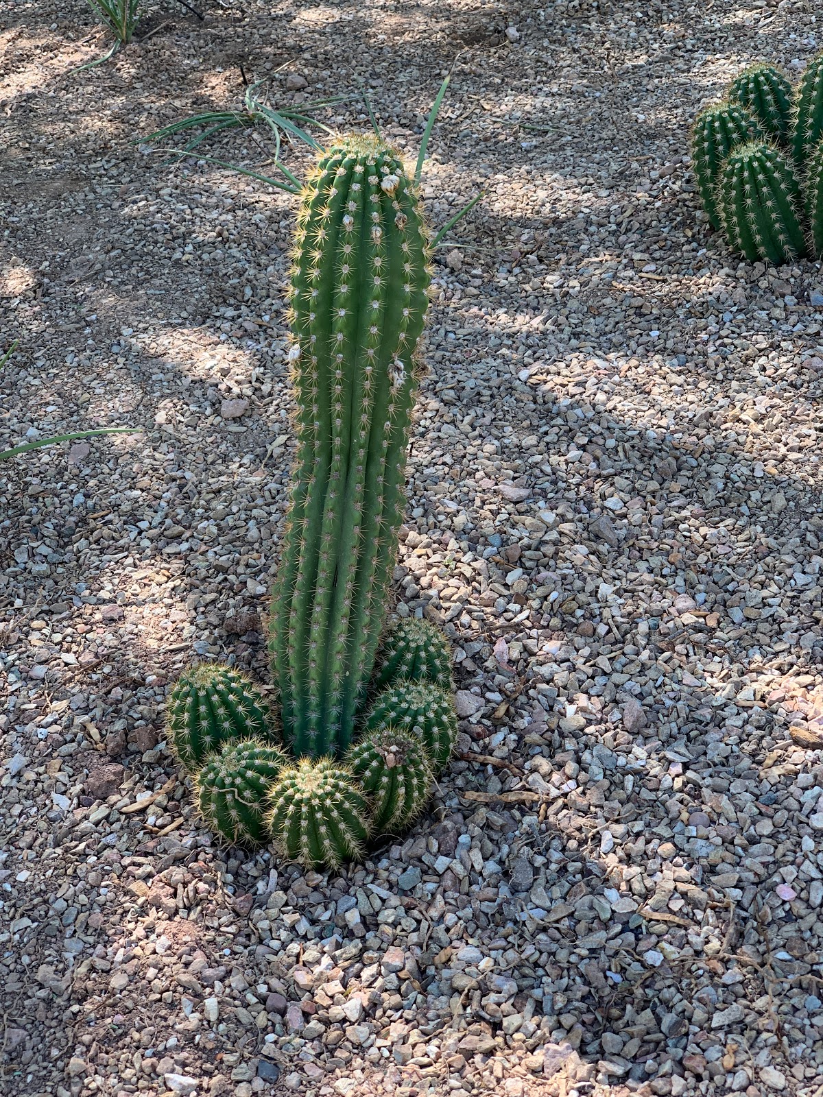 5th-Wheel Wanderings: 2019