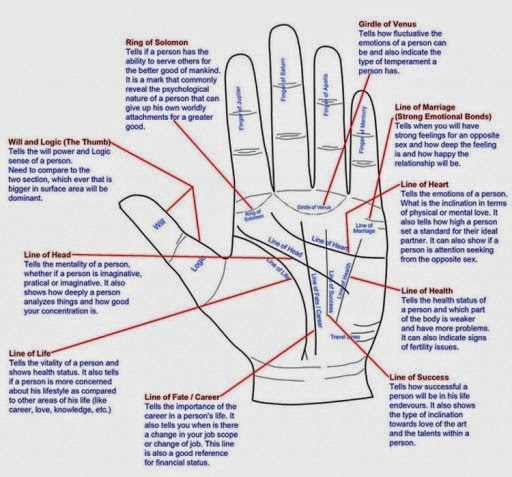 Popular DIY Crafts Blog: How to Read a Palm
