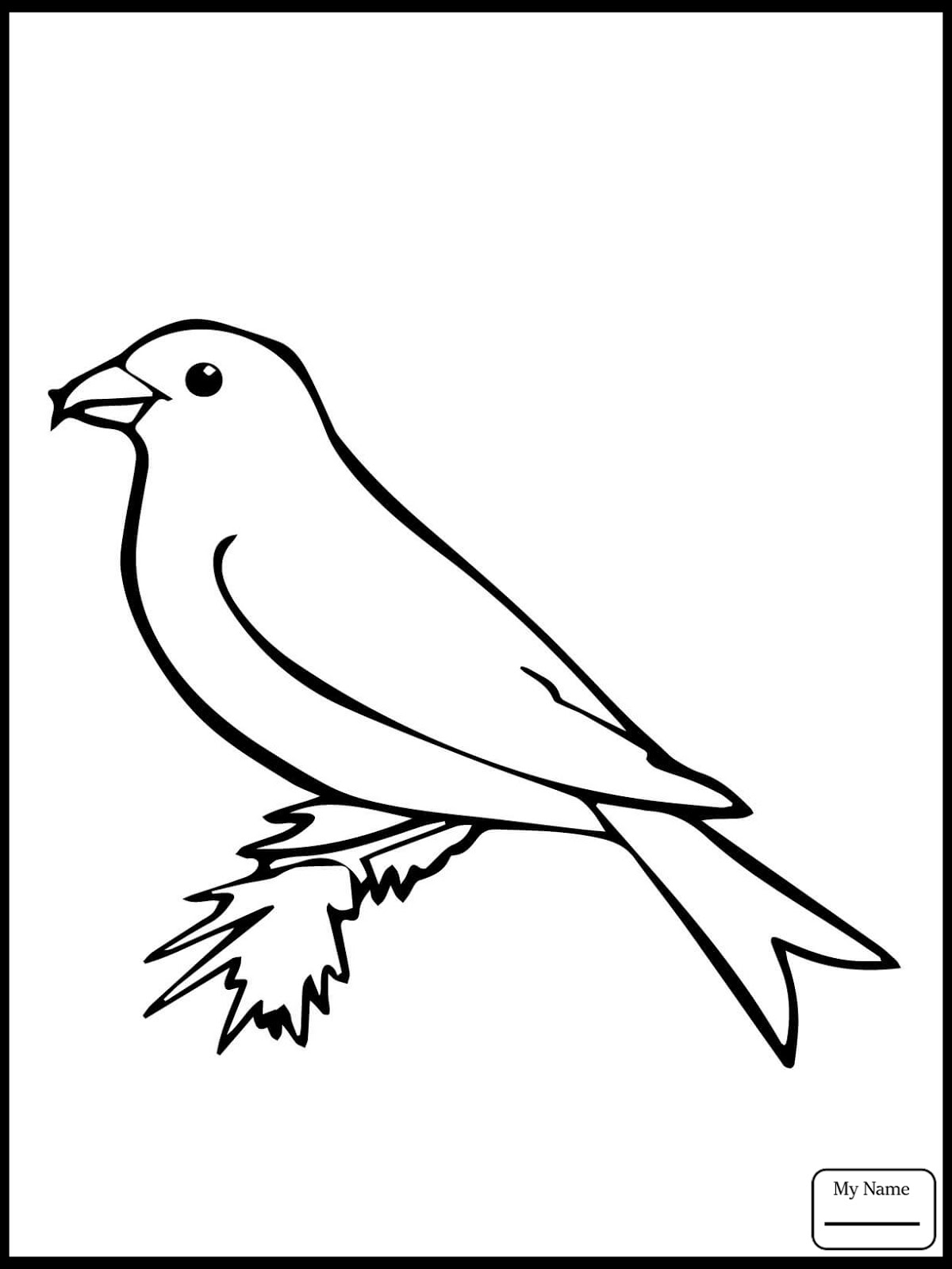 crossbill coloring pages - jiahajava