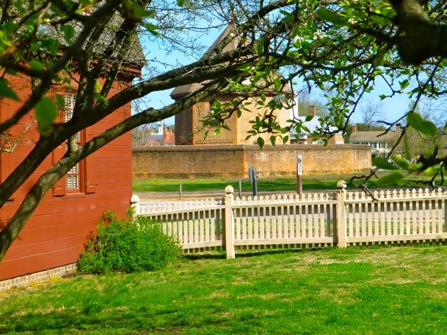 Window On Williamsburg: Common Views In An Uncommon Town