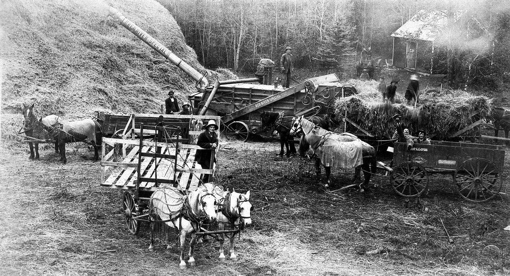 28 Old Photos Capture Daily Life of a Family in Gully, Minnesota From ...