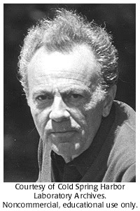 Bonus Vita: Teoría del ADN: JACQUES MONOD