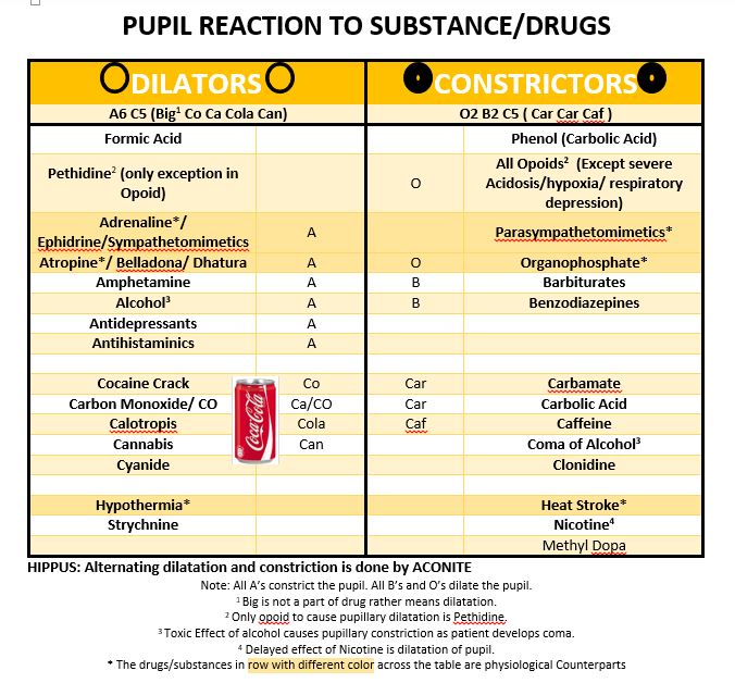 My notes: Its How I graduated Medical School.: Pupillary Reaction to ...
