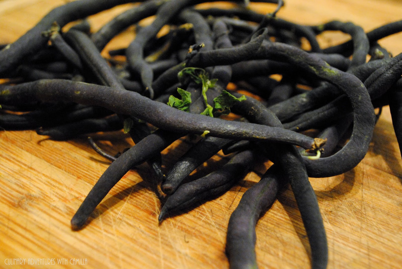 Beautiful Heirloom Beans