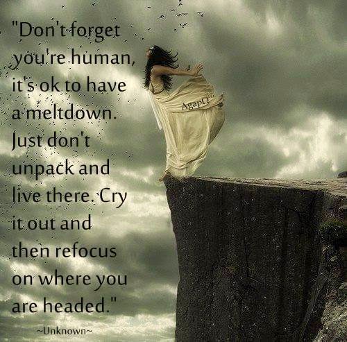 Don't Forget You're Human, it's Okay to have a meltdown. Just don't ...