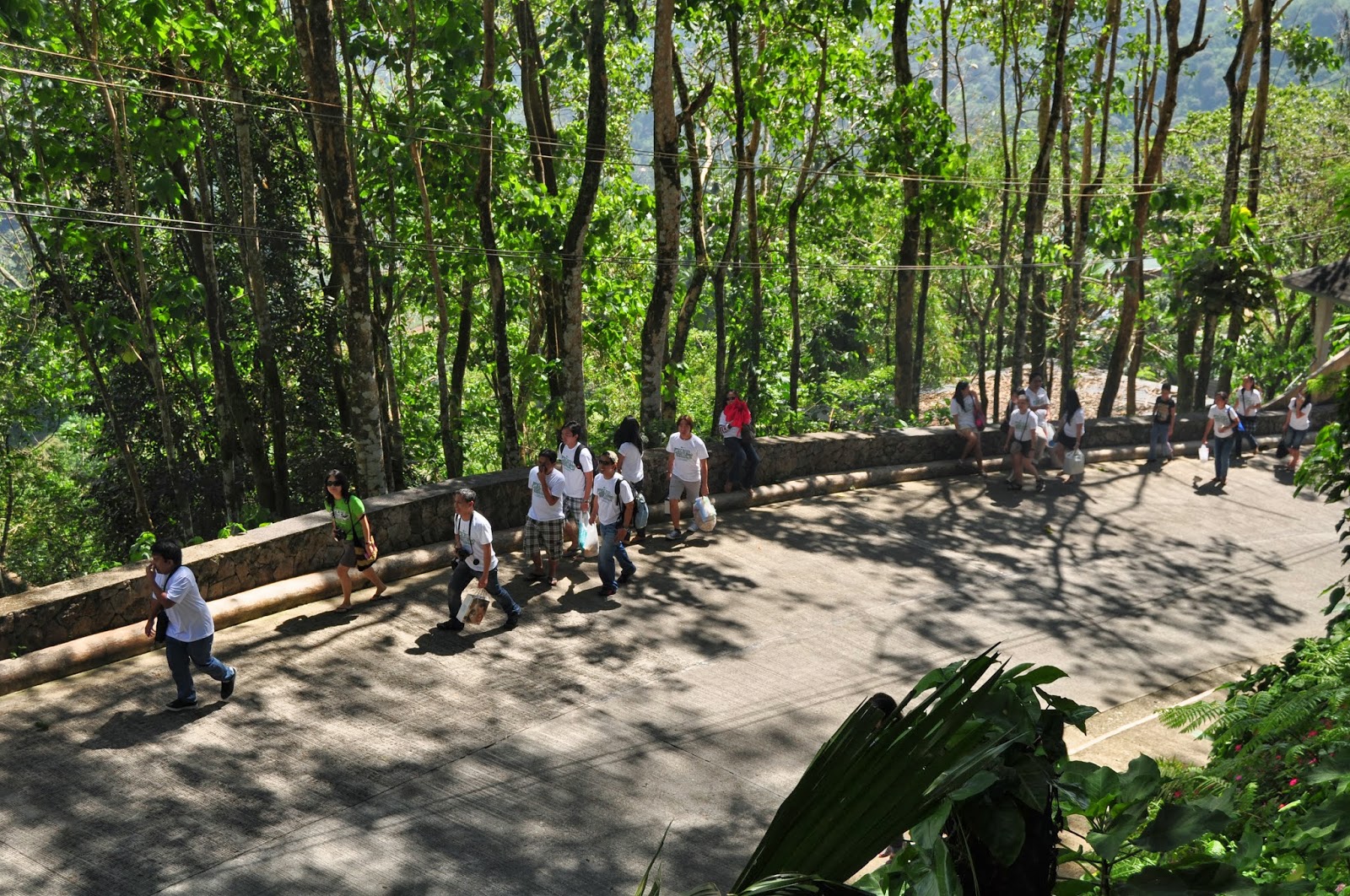 Mountain View Nature's Park, Busay Cebu | Tour In Cebu Philippines