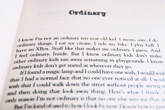 Becky Bedbug: Book Review: Wonder