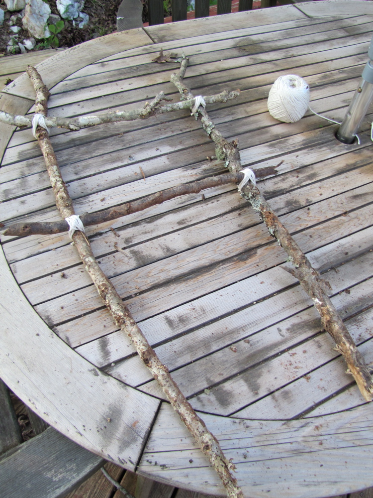 Welcome to: DIY Trellis