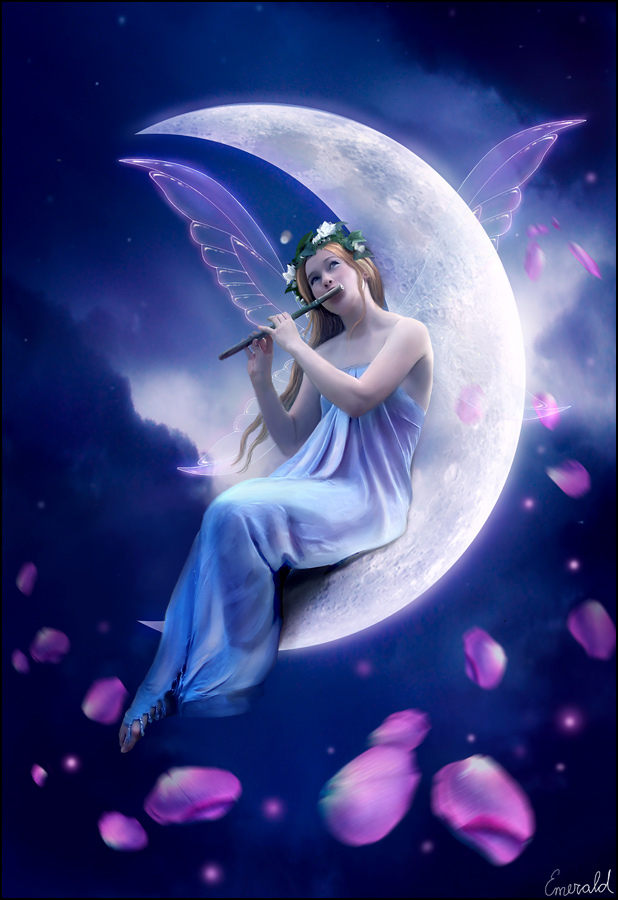 O Despertar da Espiritualidade: Involução, Evolução e Reino Elemental