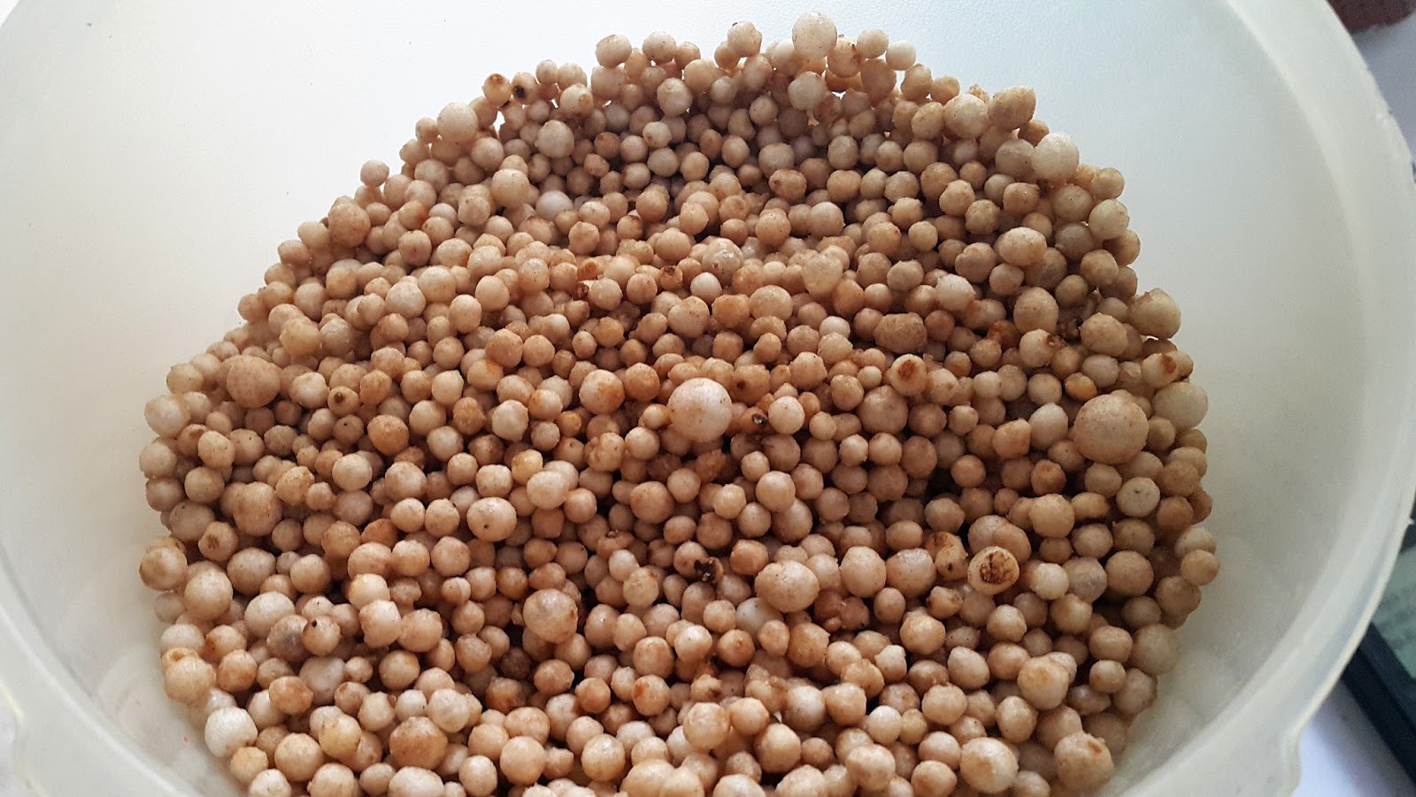 Sagu Lemak Makanan Khas Tradisional Melayu Riau - Wisata Riau - RiauMagz