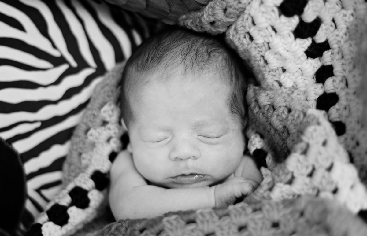 Diane Lott Photography