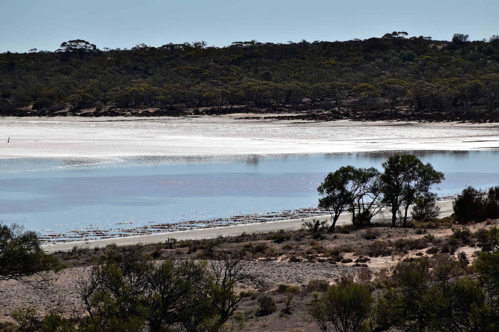 Goin' Feral One Day At A Time: Pink Lakes Walk, Murray~Sunset National ...