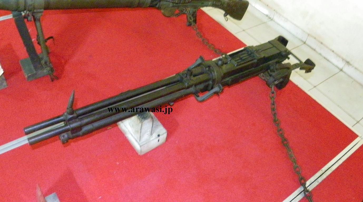 WildEagles: INDONESIA #2 - Jakarta - the guns