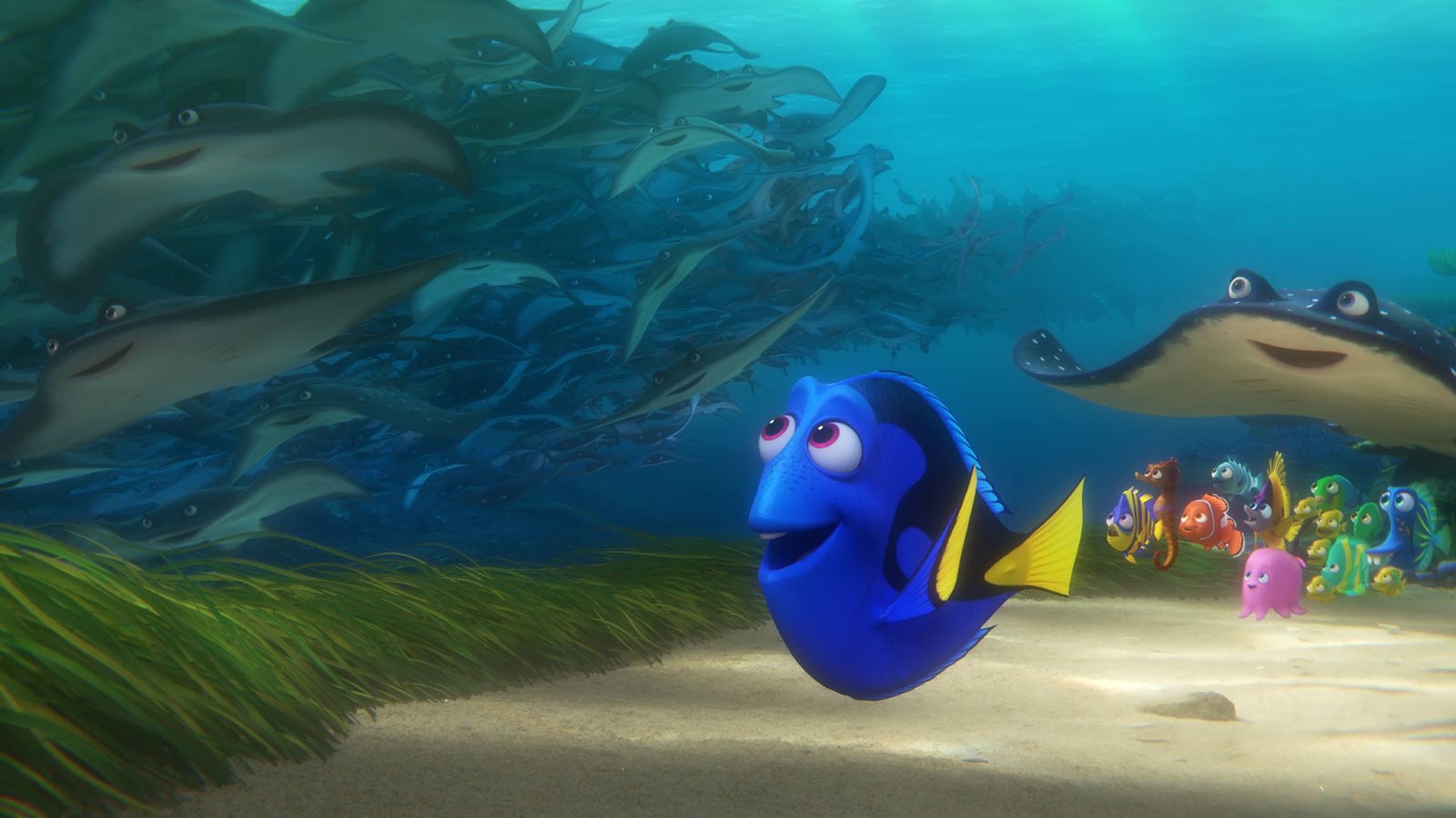 Pixar´s "Finding Dory" (2016) Nuevo Clip