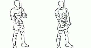 Triceps Pushdown - Rope Attachment - Fittness Patterns