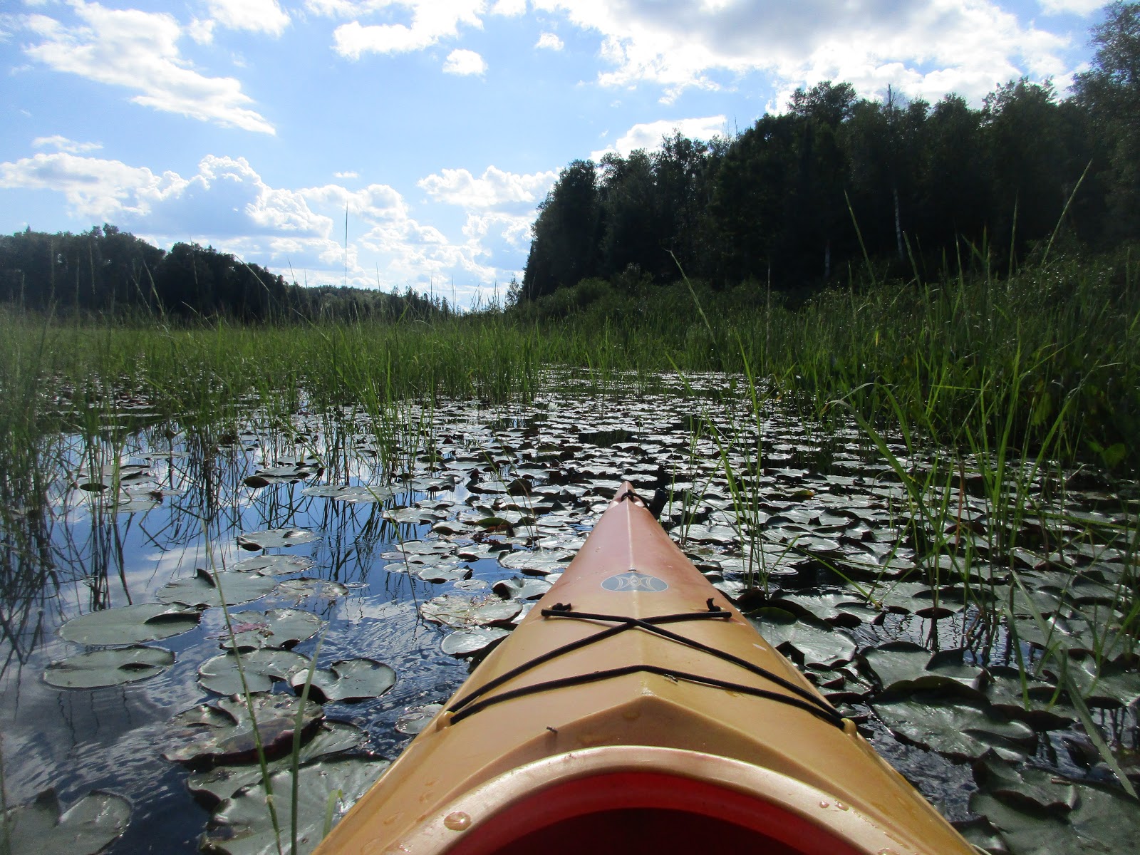 Dave's Yak Tales: Little Spider Lake, Day 5