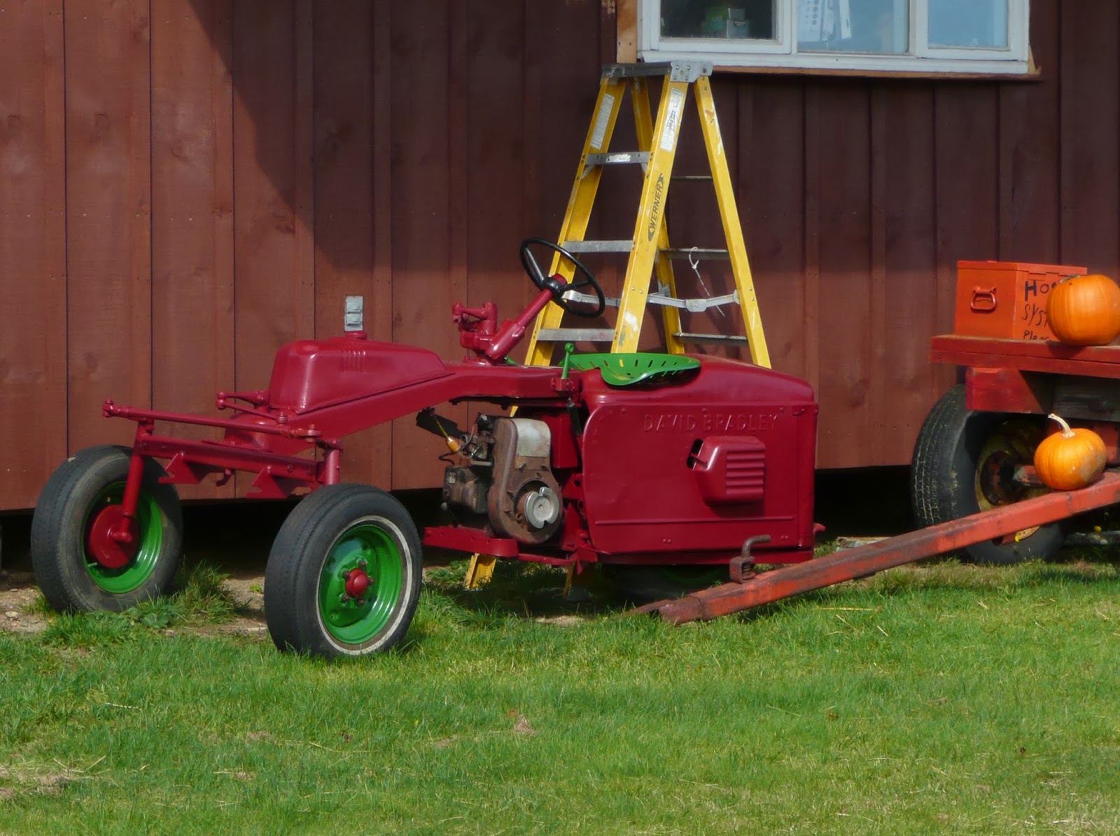 Progress is fine, but it's gone on for too long.: David Bradley Tri-Trac