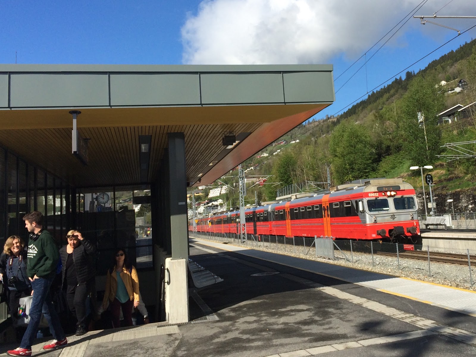 Norway: Fjord Sightseeing with Norway in a Nutshell - Vikingess Voyages