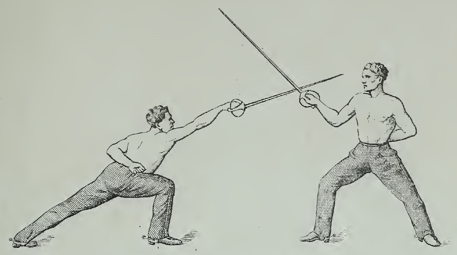 Radaellian Scholar: An Introduction to Radaelli Sabre