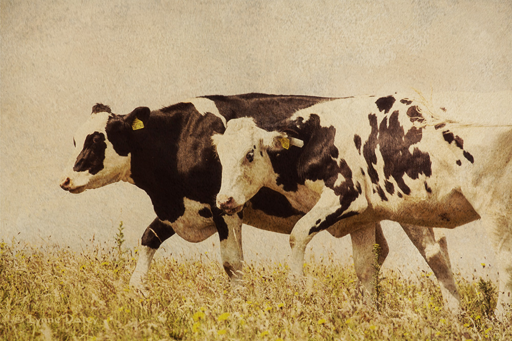 Photo-per-Diem-A Photography Blog: 2013