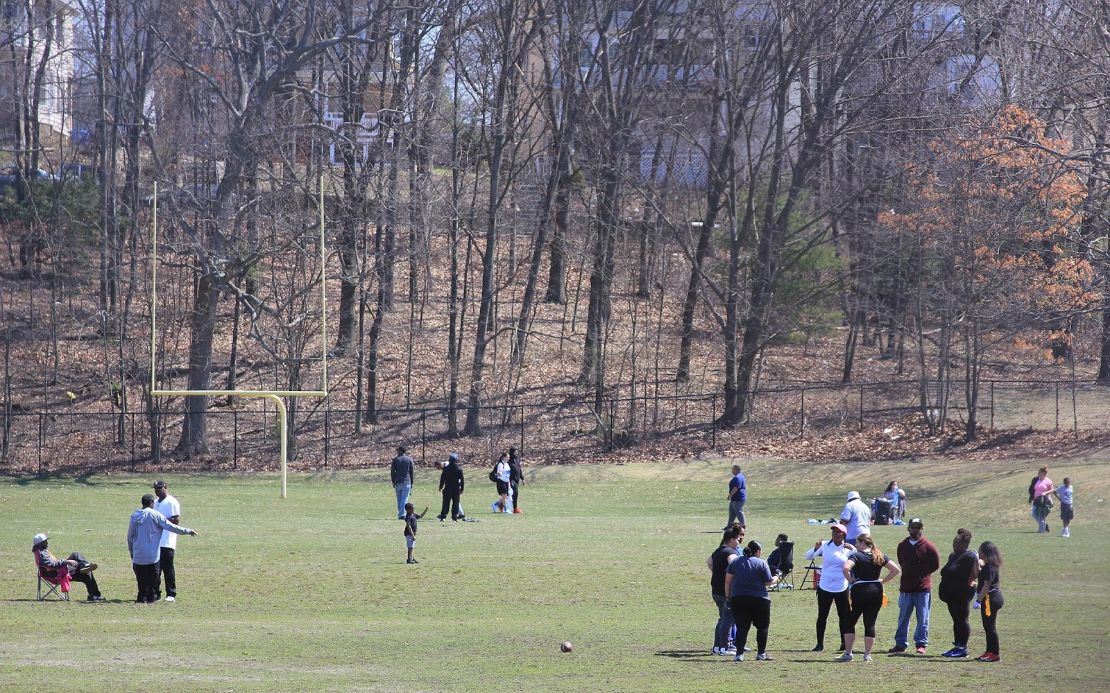 Waterbury Thoughts: Hamilton Park