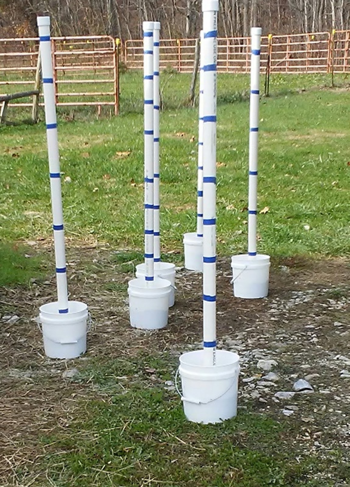 Endurance Granny: Poles Part 2