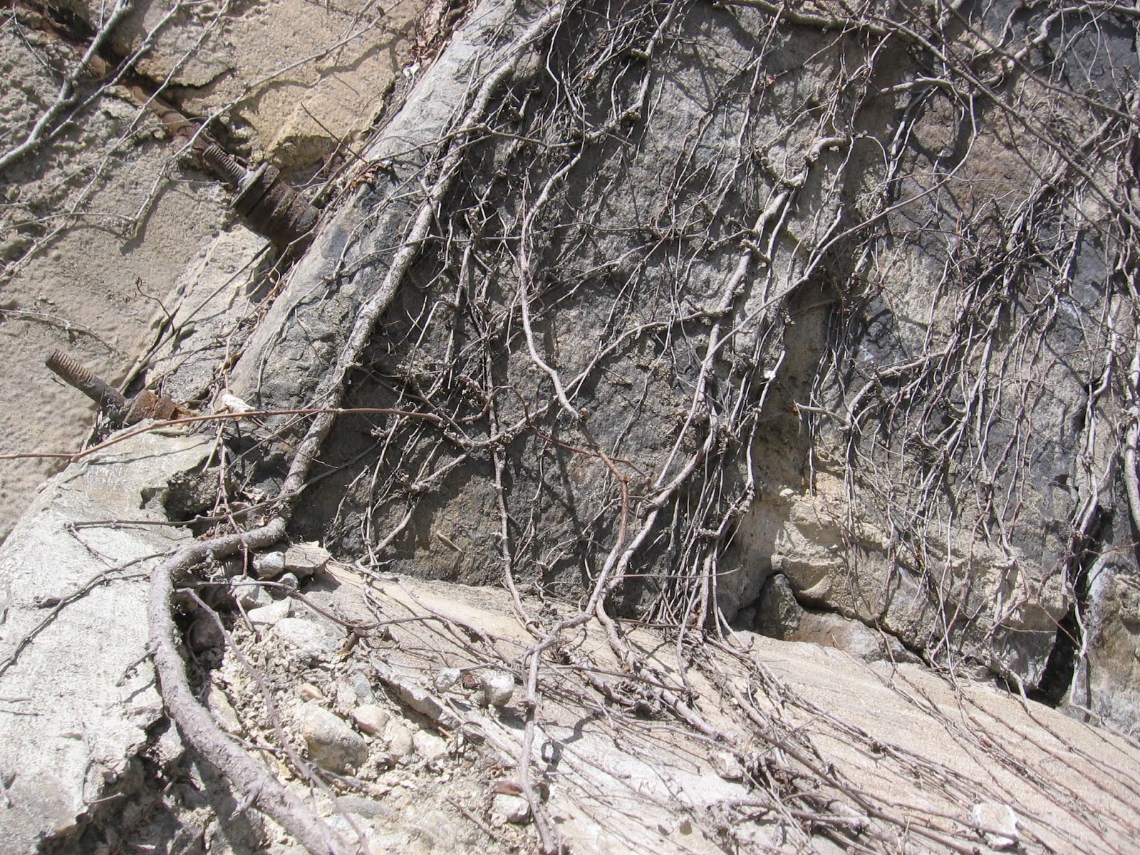 The Popperville Town Hall: Why We Lost The Hinsdale NH Route 119 Bridge!