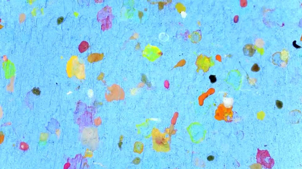 real life is elsewhere: john knuth - fly paintings