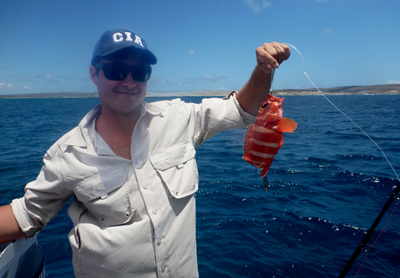 murchisonboathirefishing2011.blogspot.com