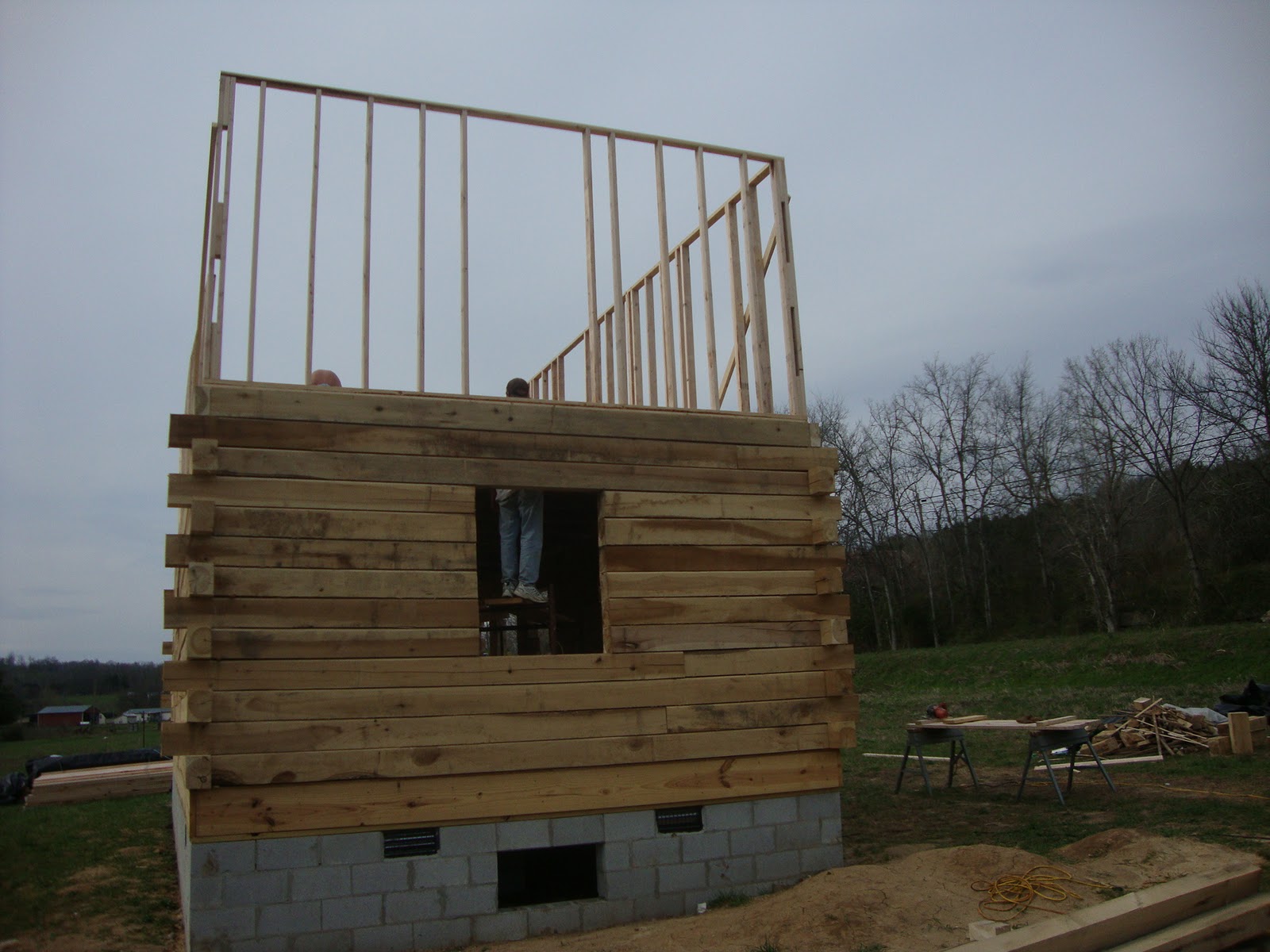 Grizzly Log Homes: shot gun log kit