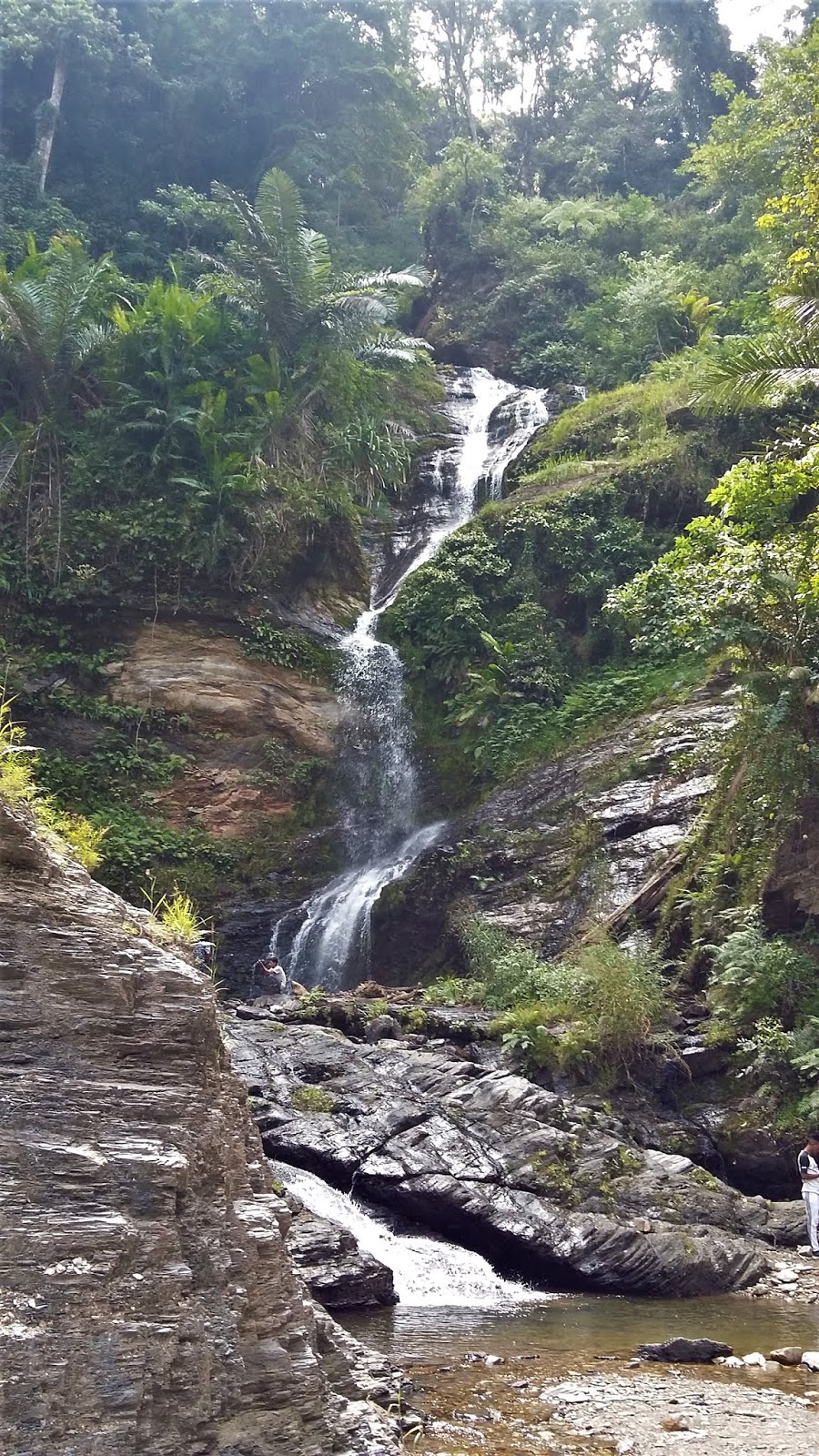 Impressões de Timor Leste: Subida aos 3000 metros do Foho Ramelau