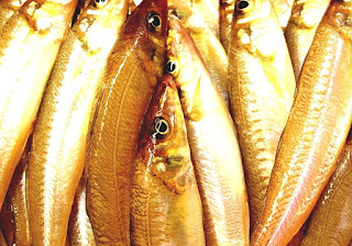 Japanese Whiting - Kisu Fish