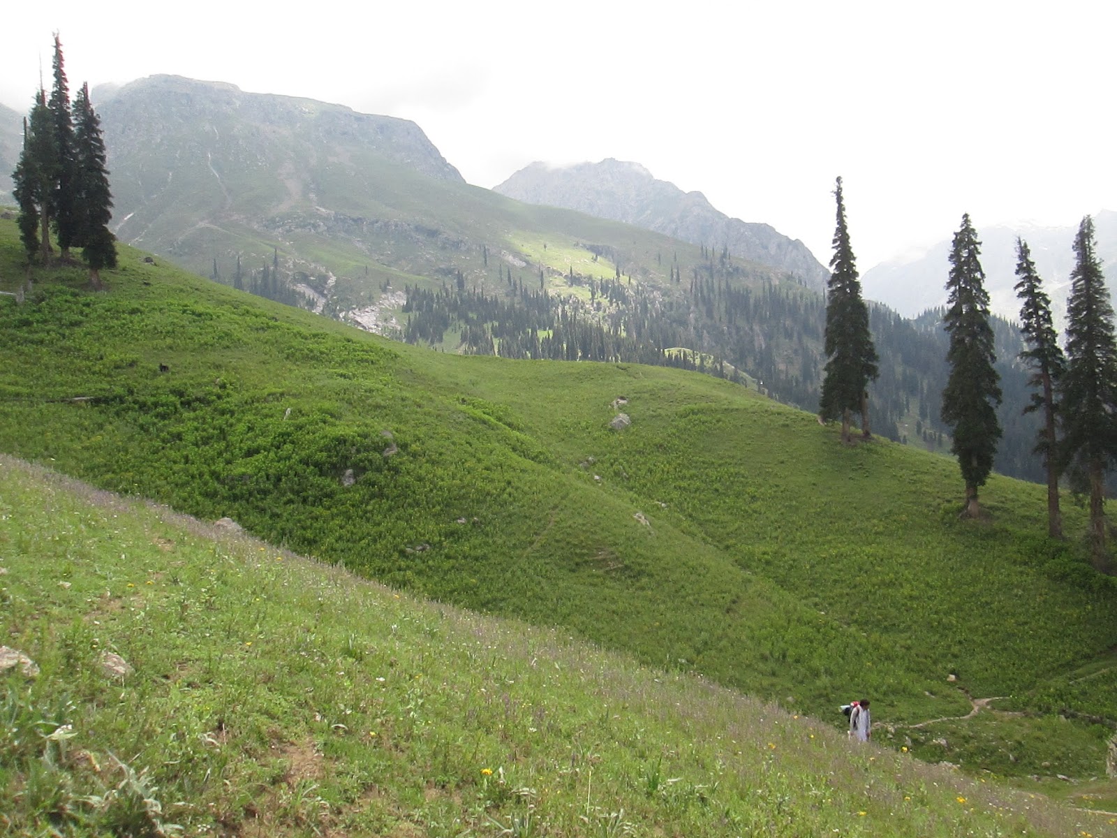 desan valley: desan valley